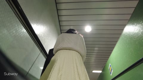 Palpis_s_518 - JGirl Collection