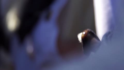 JK2ボッキ乳首GET! Pcolleオリジナル編集「普通の子のえちえちコスプレ」超接近どアップREC!-Vol.7 - JGirl Collection